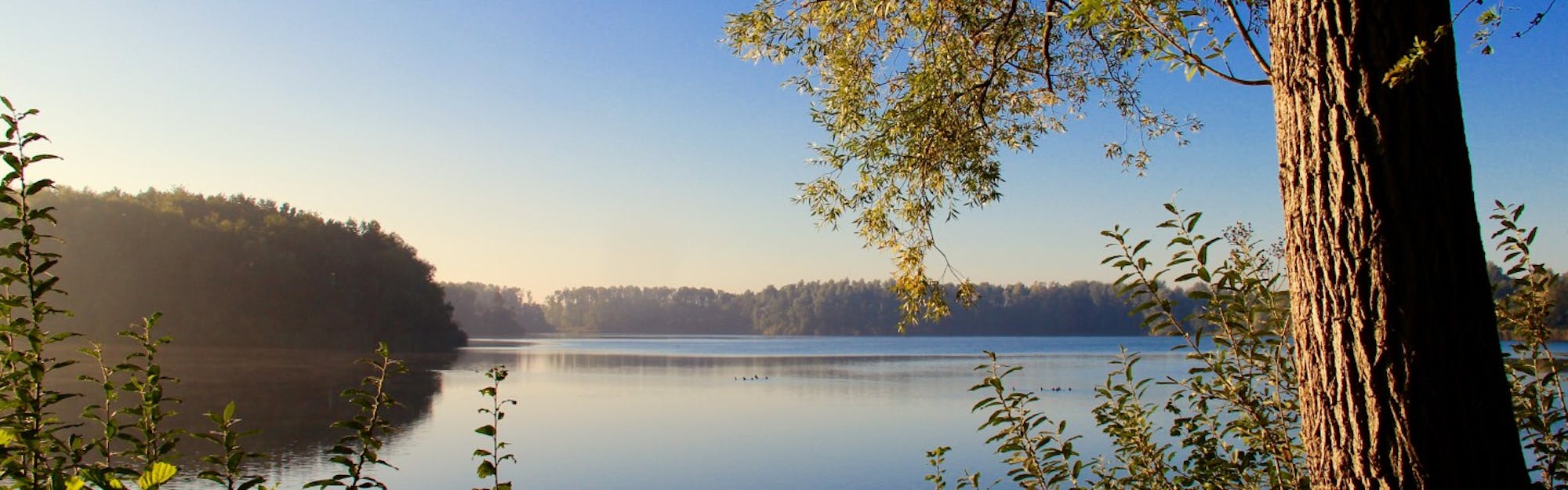 Het Flevo-landschap - De natuur dichtbij