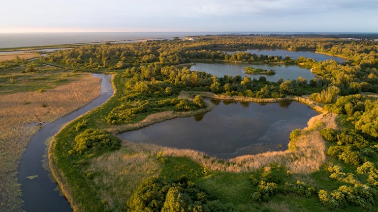 Het Flevo-landschap - De natuur dichtbij
