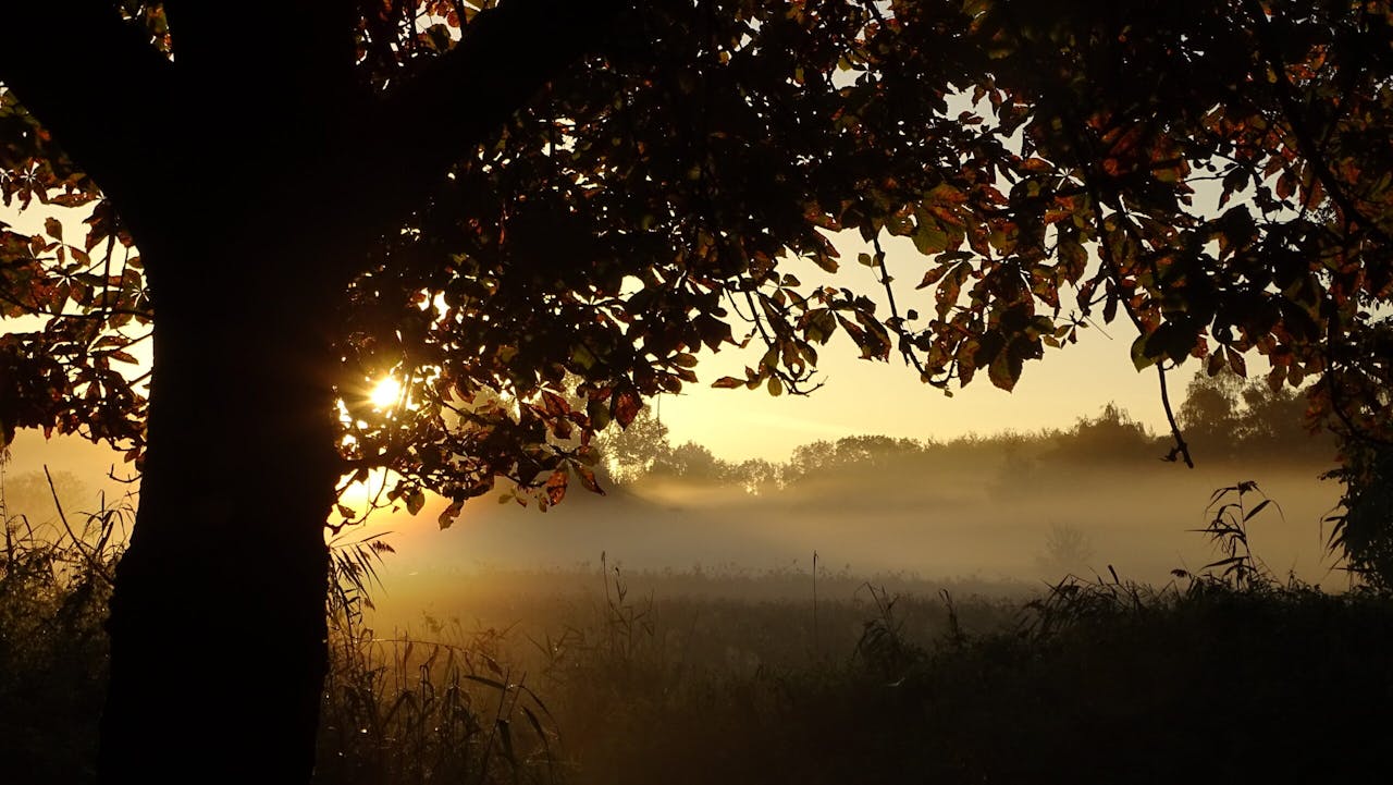 Natuurpark Lelystad (English) - Het Flevo-landschap
