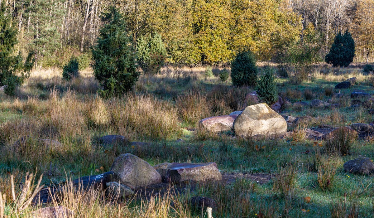 P. van der Lijn reservaat - Het Flevo-landschap