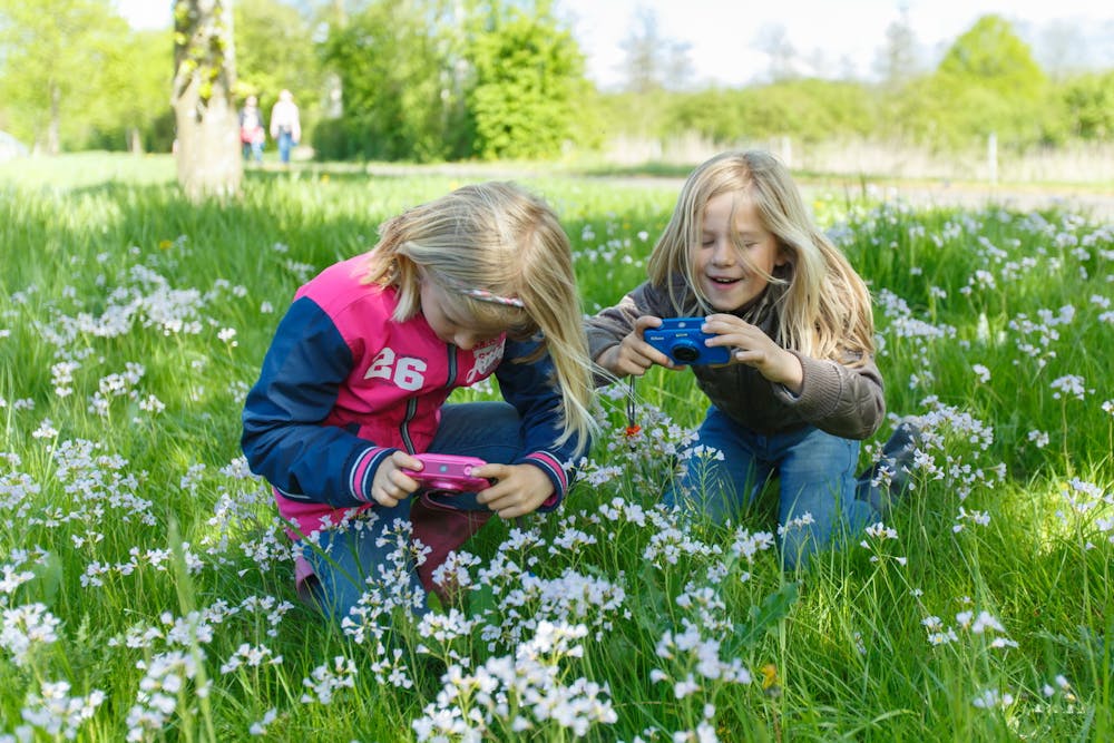 De natuur in - Het Flevo-landschap