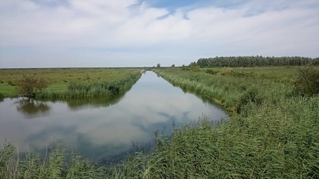 Herstel Natte Graslanden - Het Flevo-landschap