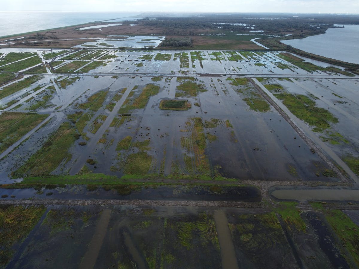 Greppels in de Natte Graslanden hersteld - Het Flevo-landschap